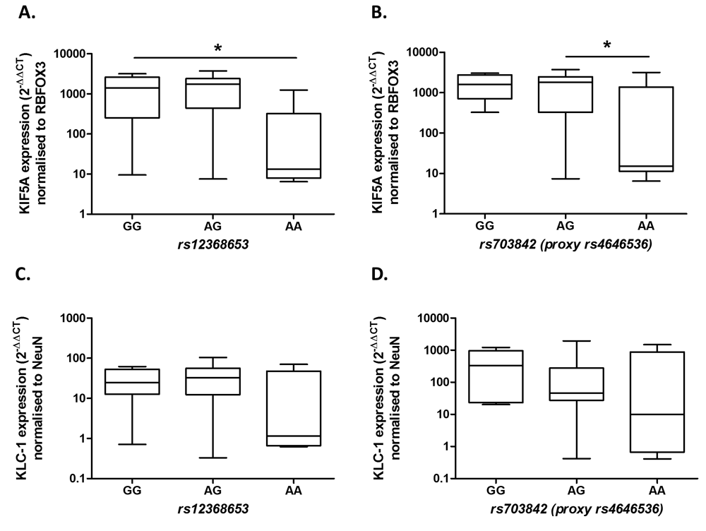 KIF5A and KLC1 expression in... | Health Open Research