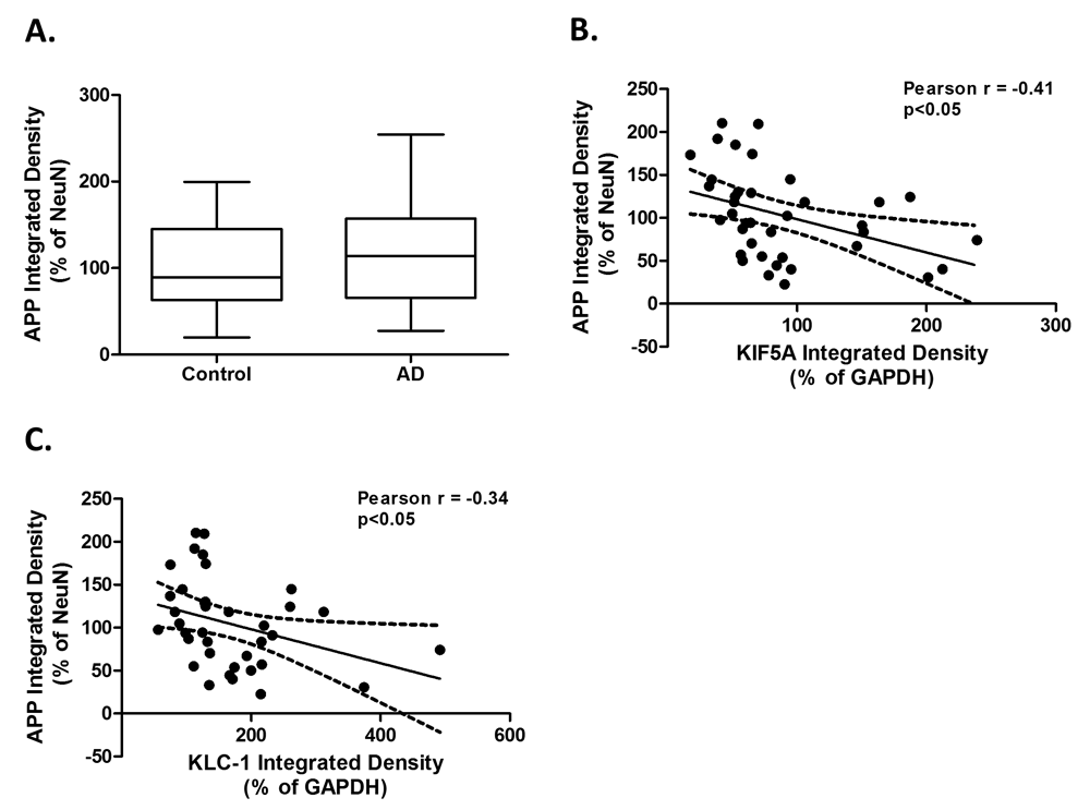 KIF5A and KLC1 expression in... | Health Open Research